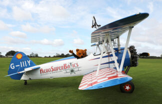 Gallery – Public | Go Wingwalking